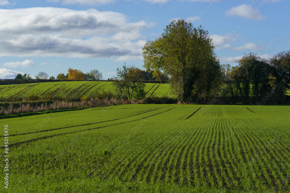 Neatly sown crops and surrounding lush foliage highlight the beauty and ...