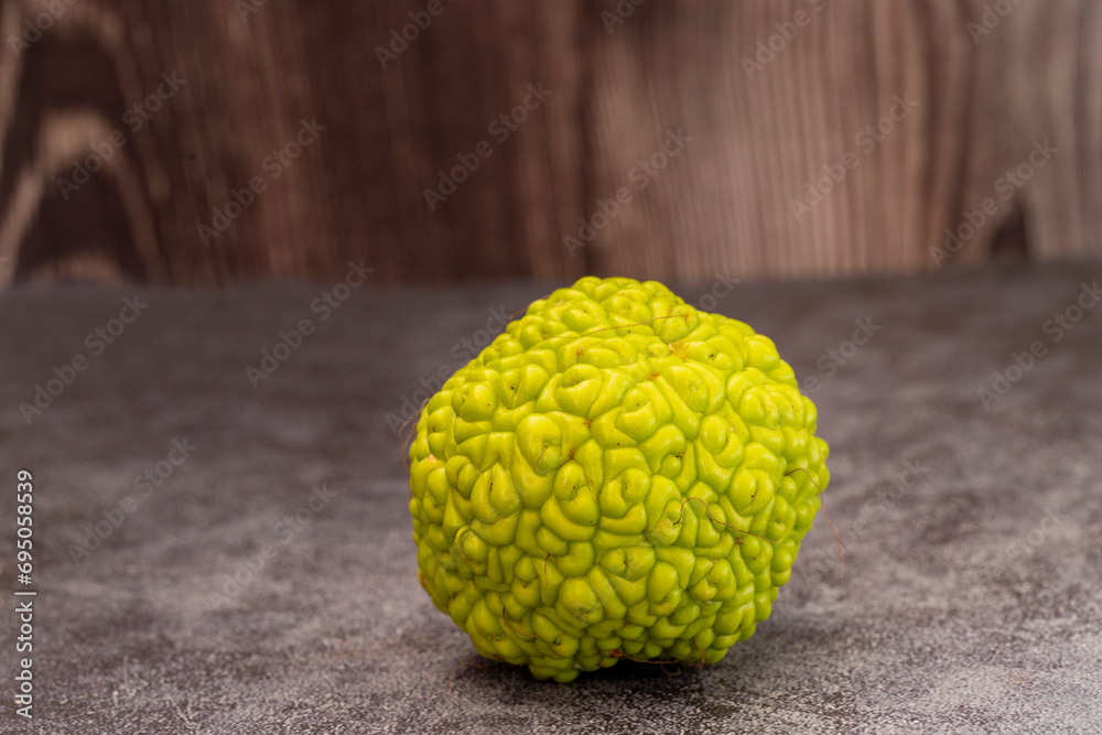 The fruit of the False Orange Tree, Maclura pomifera, is a large ...