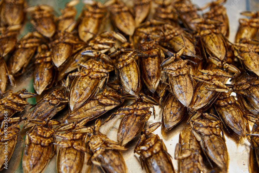 Deep fried Giant water bug Stock Photo | Adobe Stock