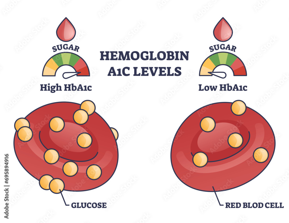 Hemoglobin A1C test levels with red blood cell and glucose outline ...