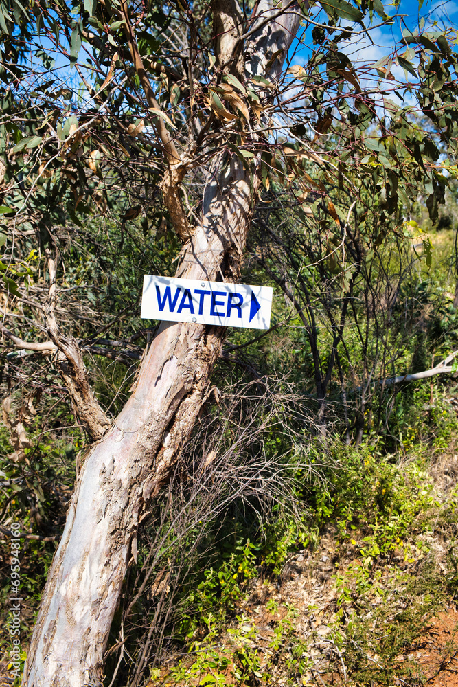 Sign nailed to a eucalyptus tree along a trail, indicating where water ...