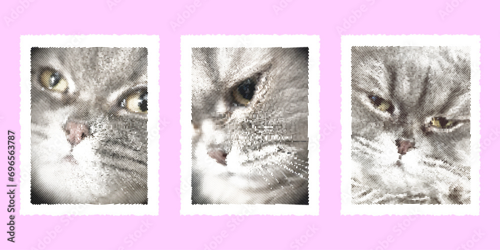 Retro photograph of a cat's face close-up in halftone processing ...