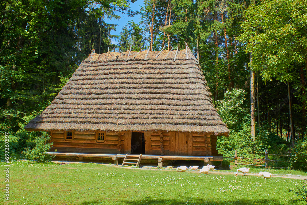 authentic house in the forest,an old Ukrainian house of the 18th ...