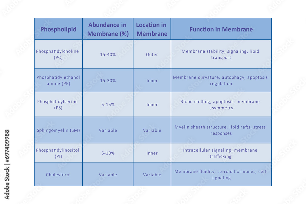 Table showing Phospholipids types, membrane abundance and location and ...