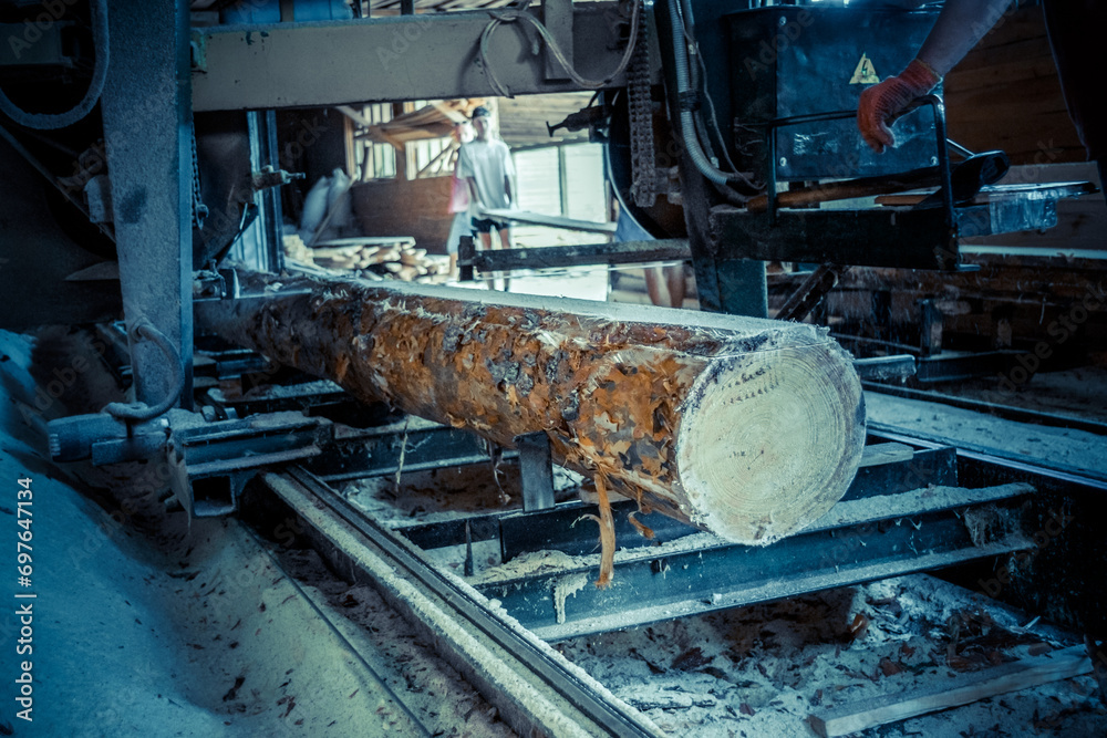 Sawmill. Process of machining logs in equipment sawmill machine saw ...