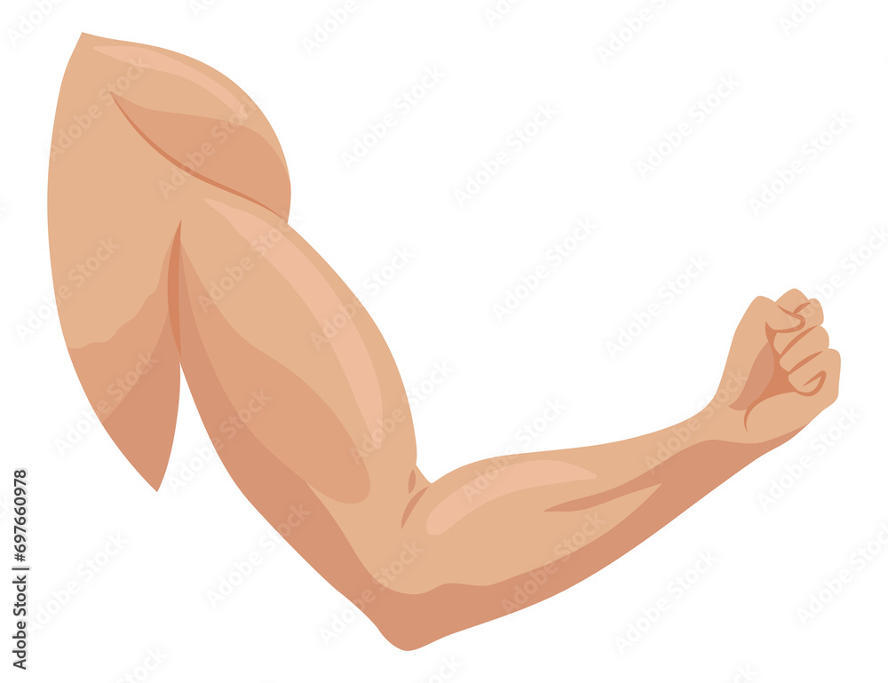 Male biceps muscles icons set. Sportsman arm with strong biceps. symbol ...