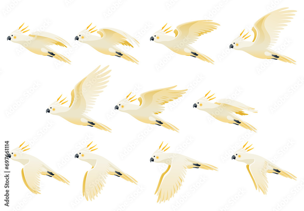 Parrot animation. Exotic adorable fauna character flight. White sulphur ...