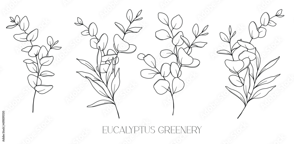 Eucalyptus Line Drawing. Black and white Floral Bouquets. Flower ...