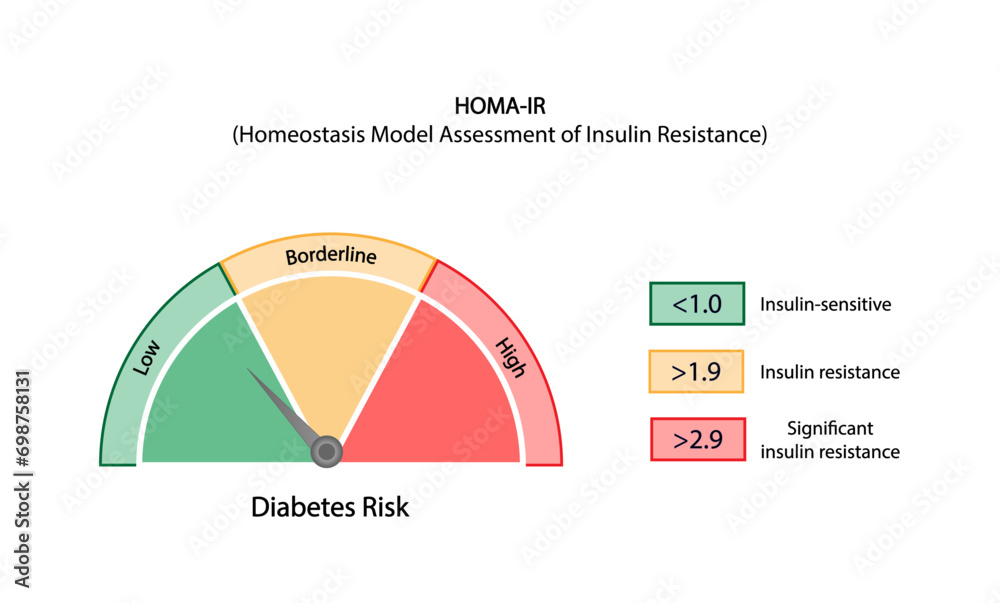 HOMA-IR (Homeostatic Model Assessment for Insulin Resistance).Low ...