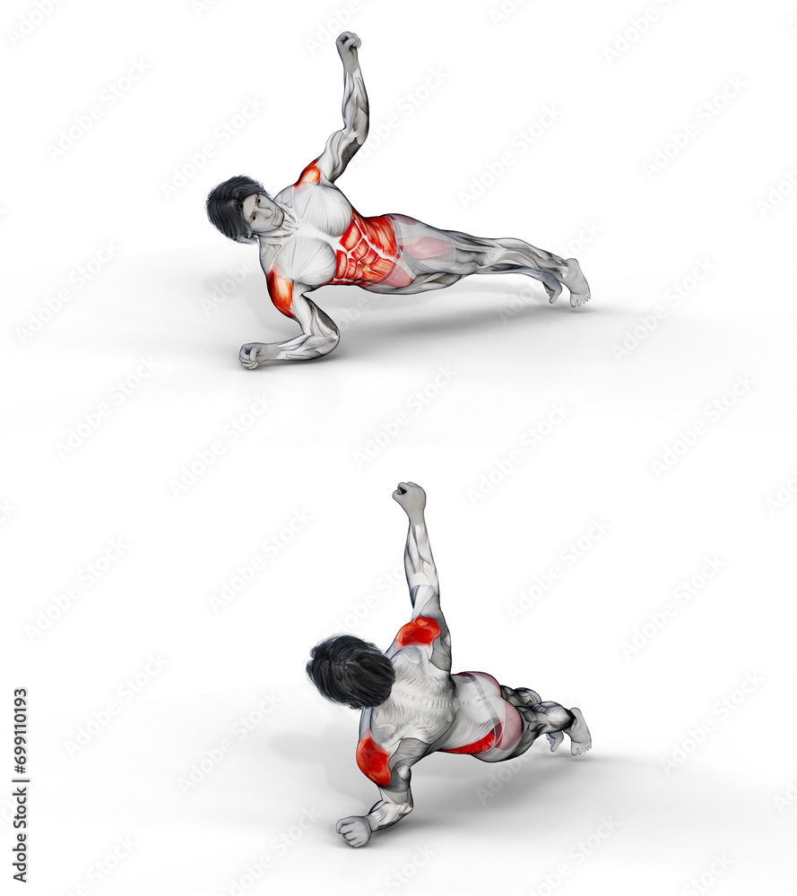 106 Front Plank with Twist. 3D Anatomy of fitness and bodybuilding. An ...
