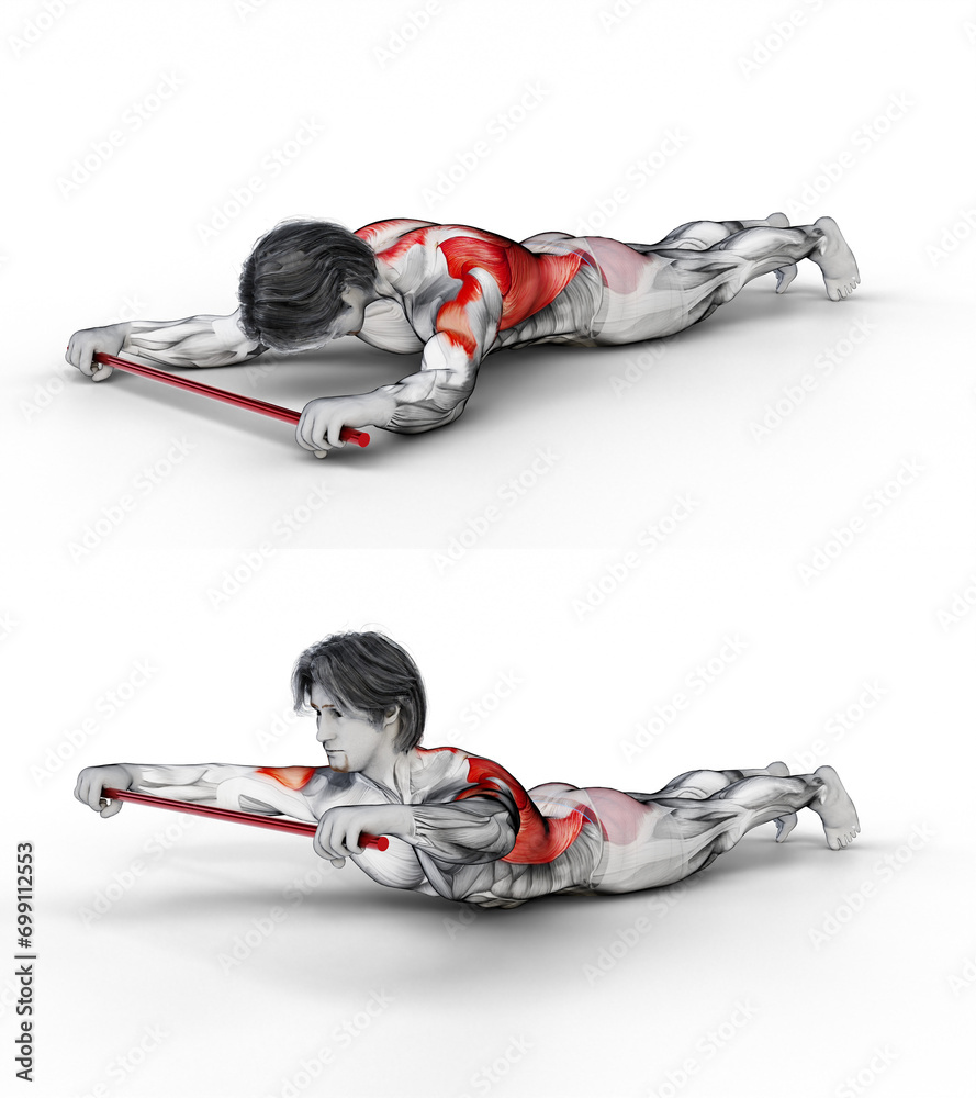 183 Superman Row+Hyperextension. 3D Anatomy of fitness and bodybuilding ...