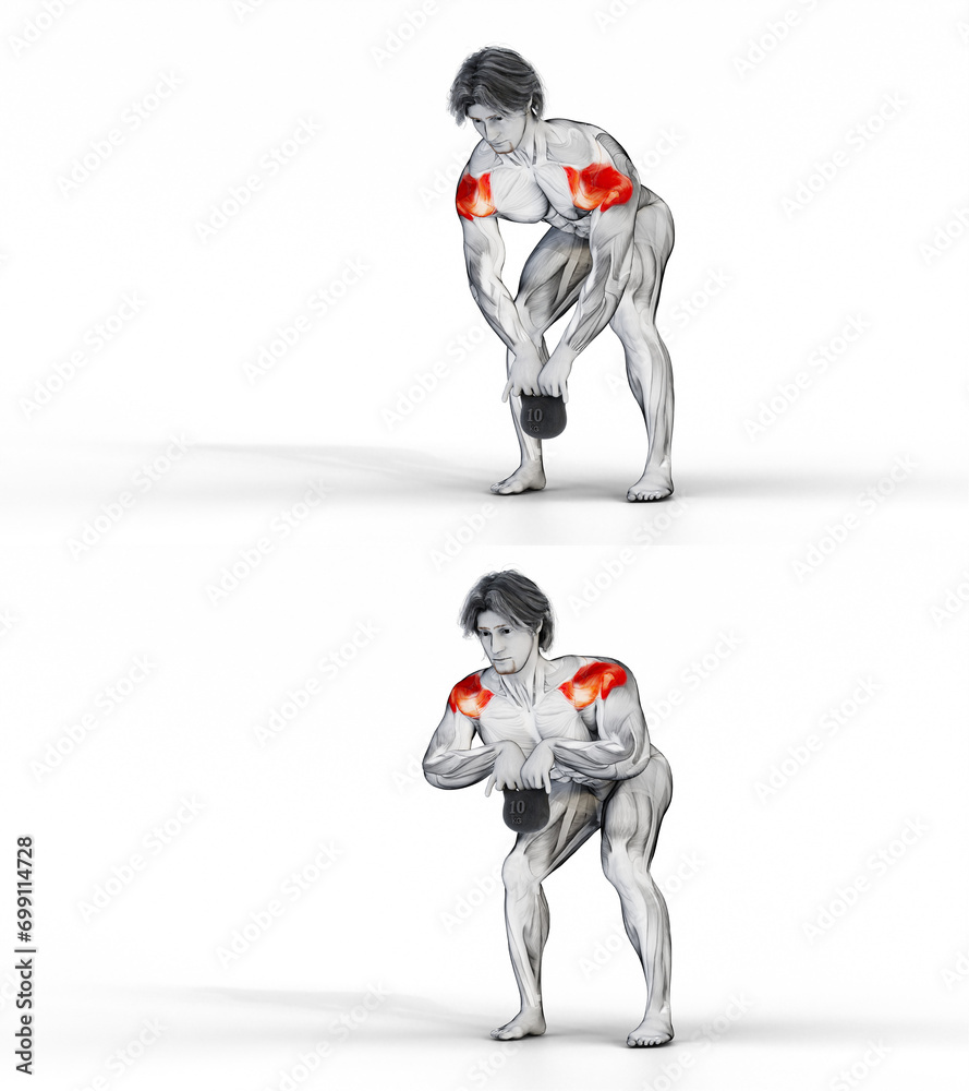 231 Shoulders- Kettlebell Rear Delt Row. 3D Anatomy of fitness and ...