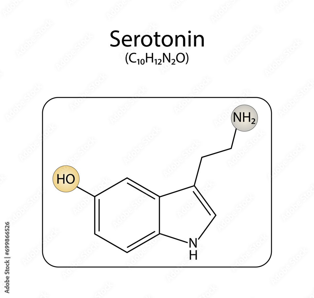 Serotonin molecule. Molecular chemical structural formula. Monoamine ...