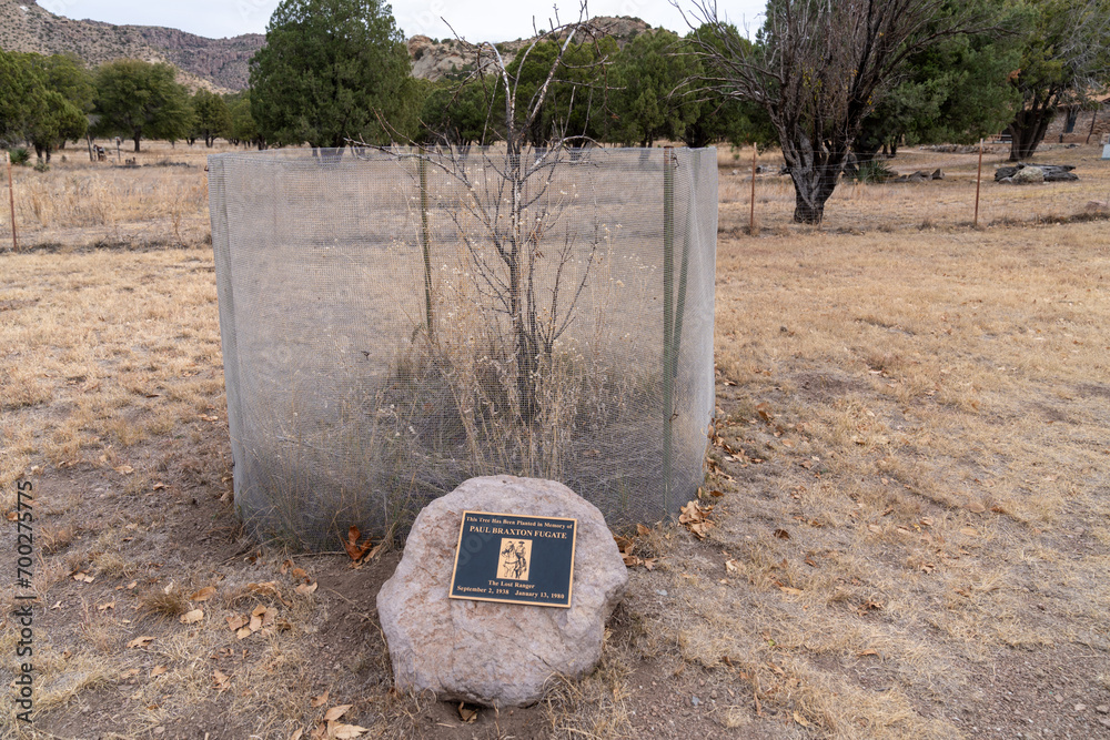 Arizona, USA - December 19, 2023: Memorial tree planted in honor of ...