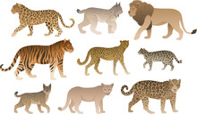 Cheetah Cat Animal Illustration Free Stock Photo - Public Domain Pictures