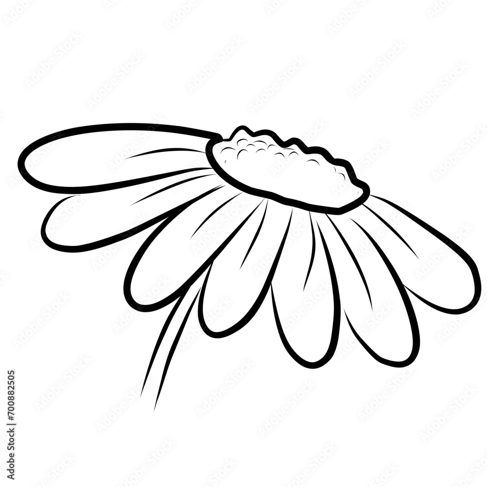 Bunga Daisy dalam gaya menggambar seni garis berkelanjutan. Seni ...