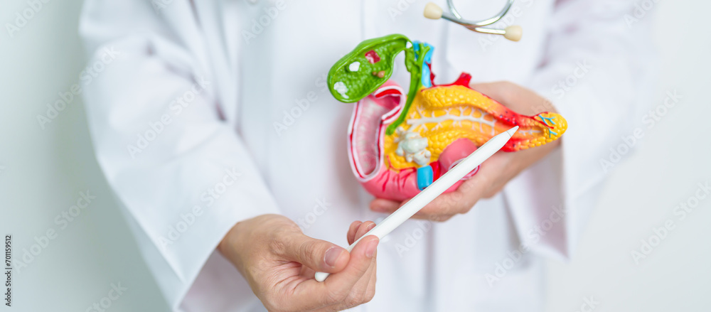 Doctor with human Pancreatitis anatomy model with Pancreas, Gallbladder ...