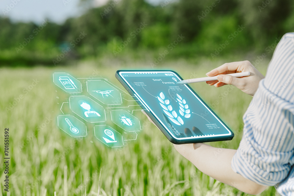 Rice research using new innovations, smart farm technology helps ...
