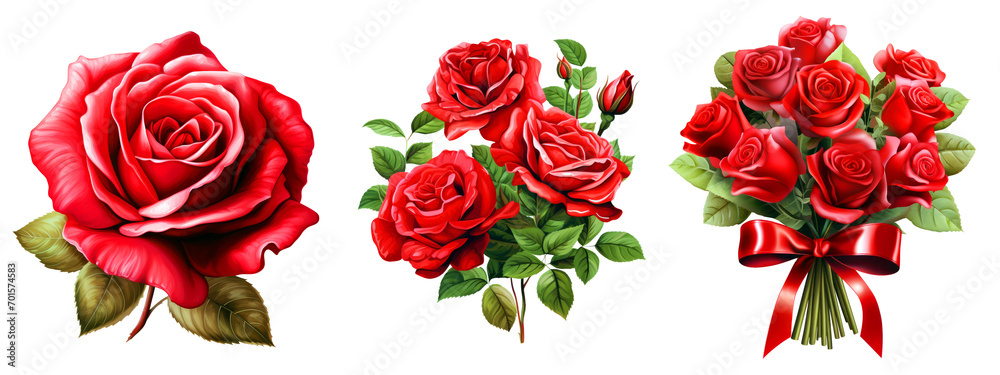 Watercolor Red Roses Flowers Clipart isolated on Transparent Background ...