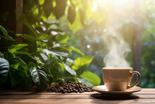 Fresh Coffee Free Stock Photo - Public Domain Pictures
