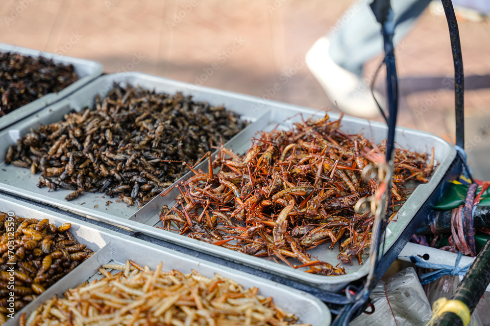 Fried insects (locust, worm, cricket, pupa, and giant waterbug) as ...