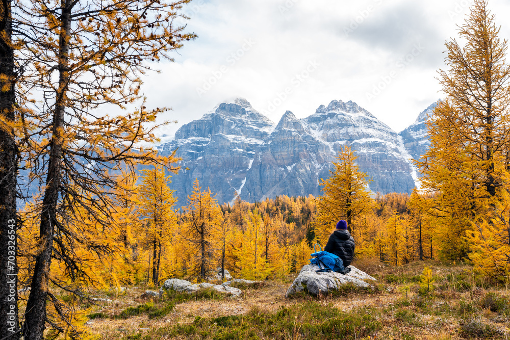 Tourists hiking in Larch Valley. Banff National Park, Canadian Rockies ...