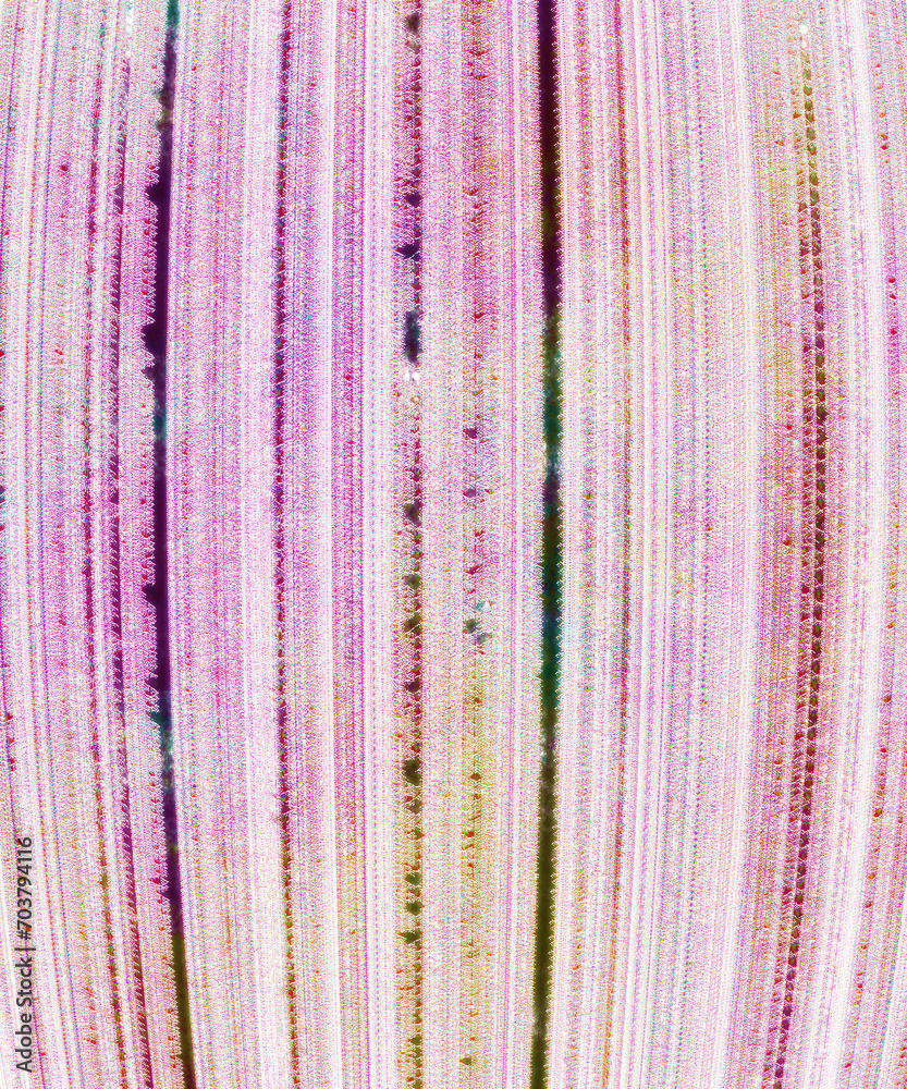 CRT VHS Screen Texture Stock Illustration | Adobe Stock