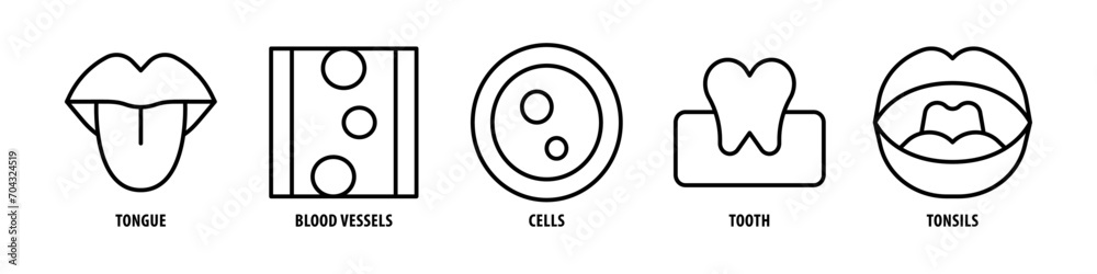 Tonsils, Tooth, Cells, Blood Vessels, Tongue editable stroke outline icons set isolated on white ...
