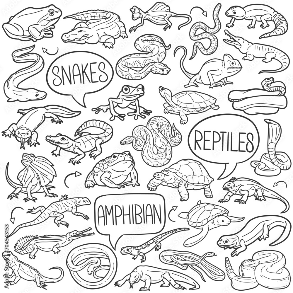 Reptiles Doodle Icons Black and White Line Art. Animals Clipart Hand ...