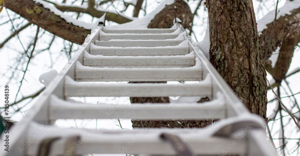 Winter scene, an aluminum ladder leans against a tree, creating a ...
