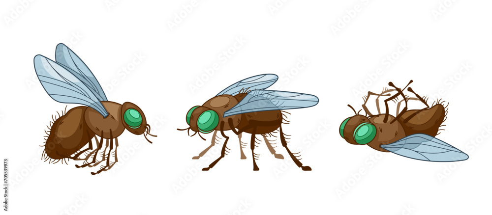 Cartoon Vector Flies in Different Poses. Insect with Vibrant Wings And ...