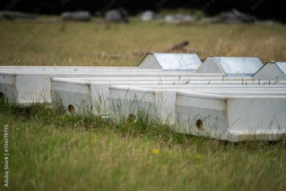 livestock water trough in a field on a cattle farm in Australia in ...