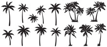 Tropical Palm Art Illustration Free Stock Photo - Public Domain Pictures