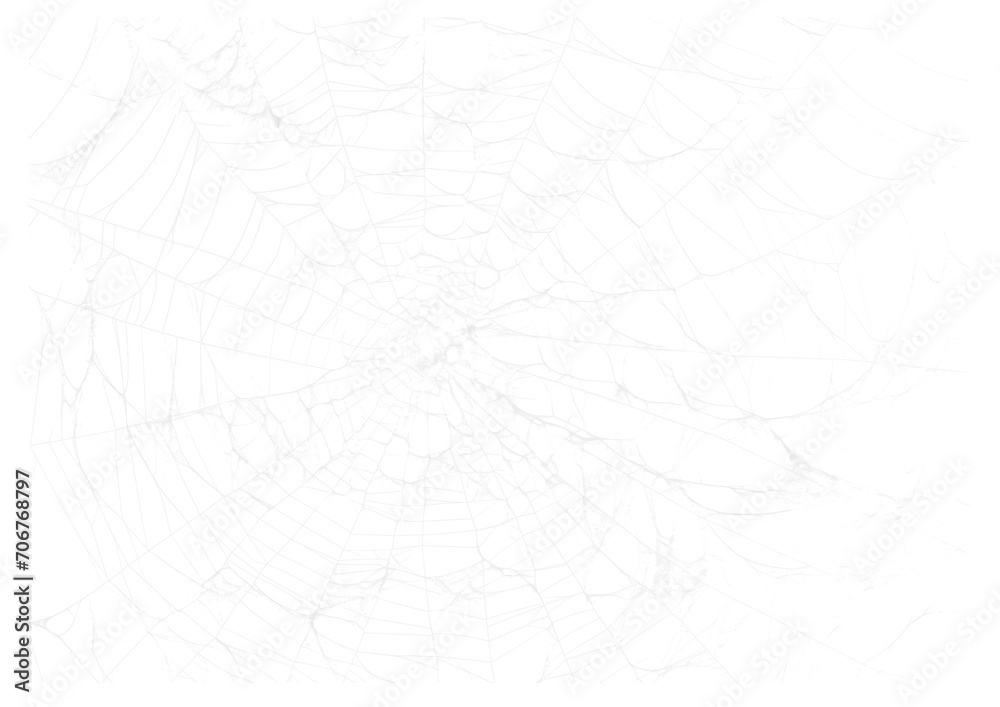 Spider Web v4 Alpha Stock Photo | Adobe Stock