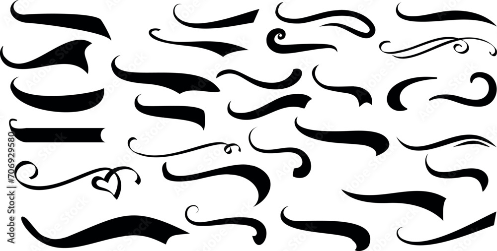 calligraphic swirls and flourishes Vector illustration on a white ...