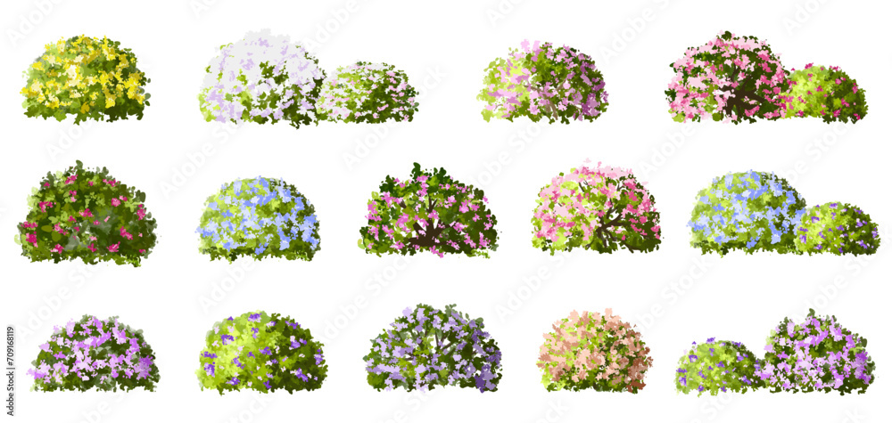 Vector of flower grass or blooming shrub site view isolated on white ...
