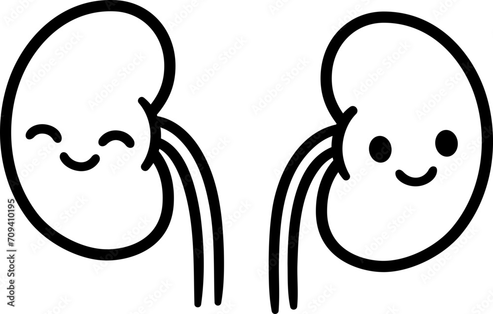 Cartoon kidneys with cute smiling face. Hand drawn doodle style drawing ...