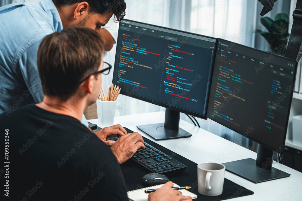 IT developers discussing online software development information on pc ...