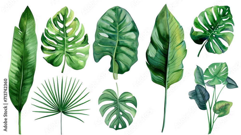 Set Collection Watercolor tropical leaves Modern green tropical leaves ...