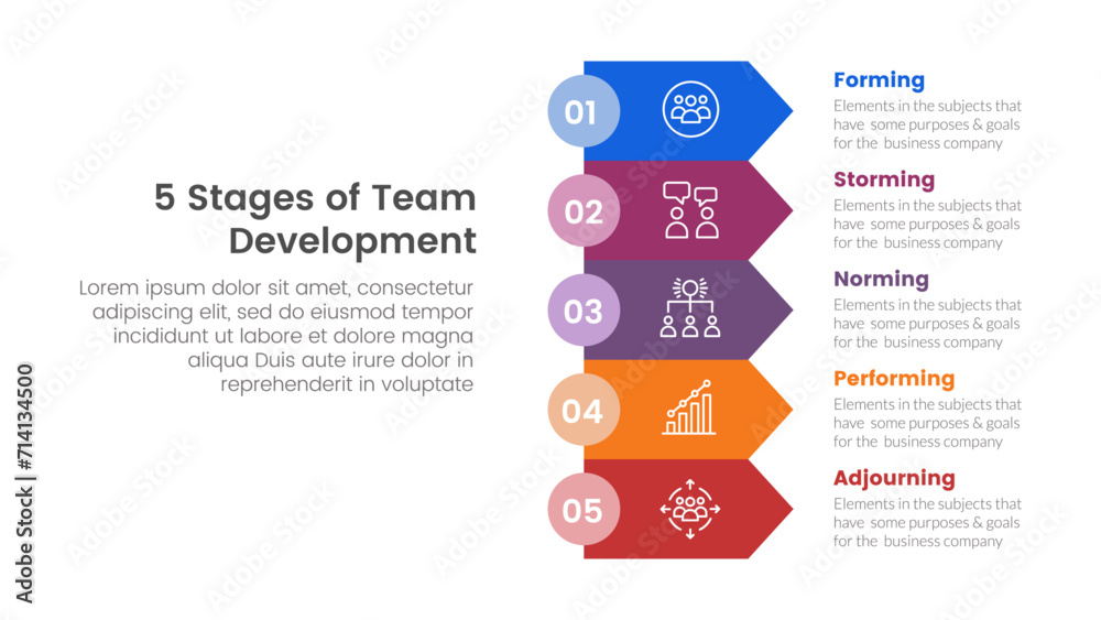 5 stages team development model framework infographic 5 point stage ...