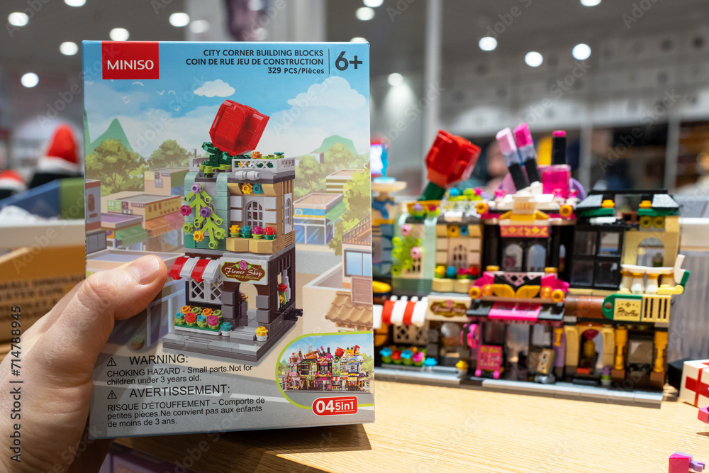 Miniso brand constructor is in hands of buyer. Miniso products on ...
