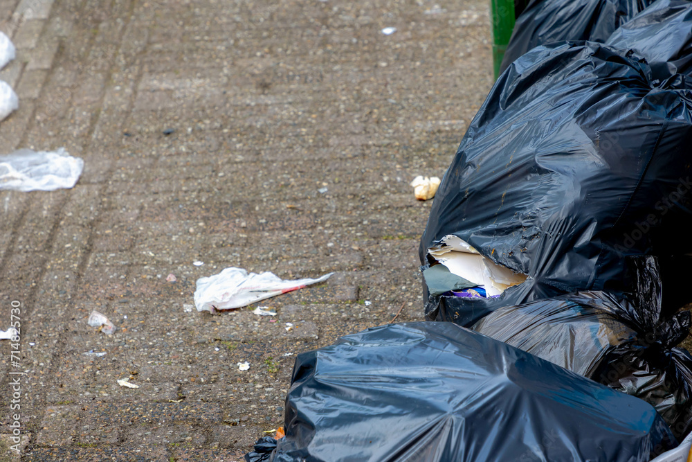 Stack of black garbage on street with hole, Birds pinching the trash ...