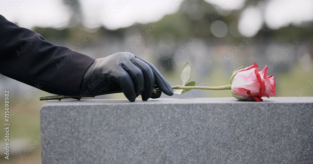Funeral, cemetery and person with rose on tombstone for remembrance ...