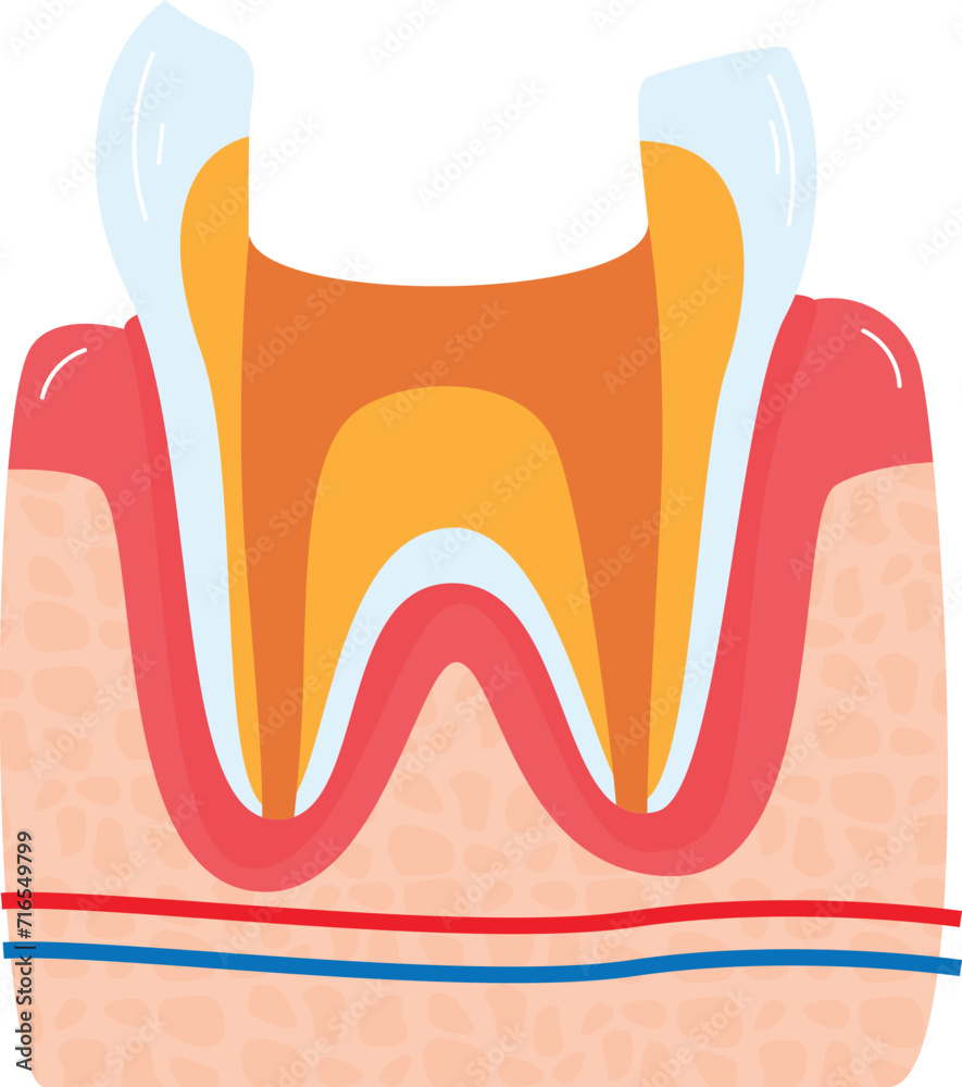 Close-up cross-section of human skin layers. Educational dermatology ...