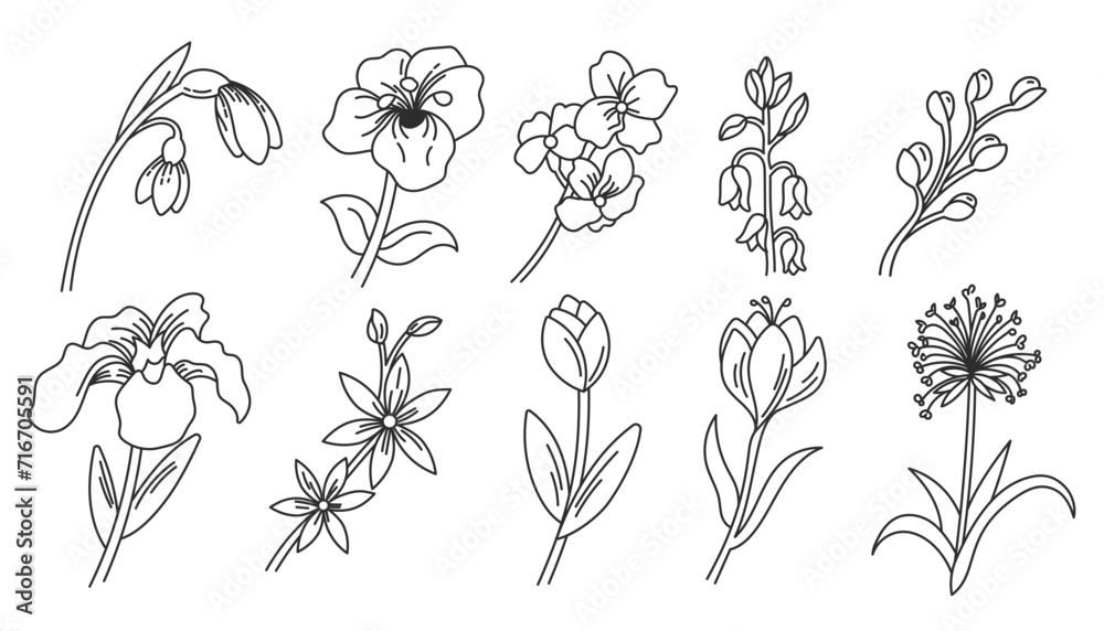 set of doodle spring flower line art Stock Vector | Adobe Stock