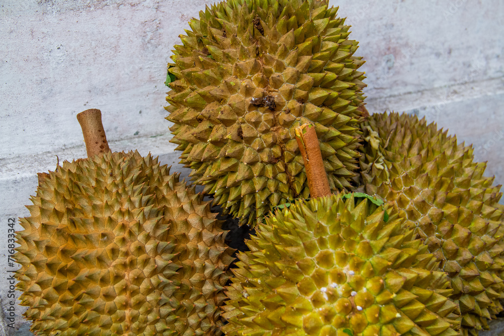 Local Indonesian durian is delicious and contains various vitamins and ...
