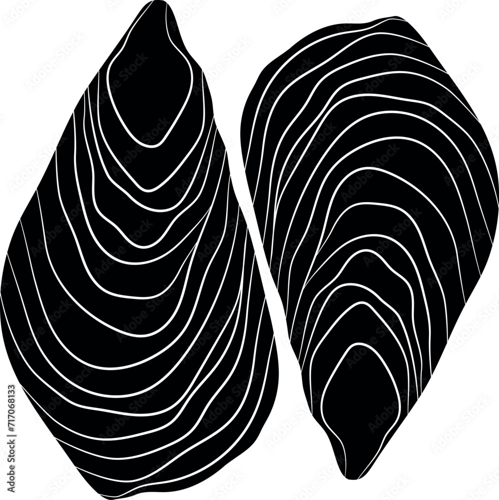 Seashells vector set. Hand drawn illustrations of engraved line ...