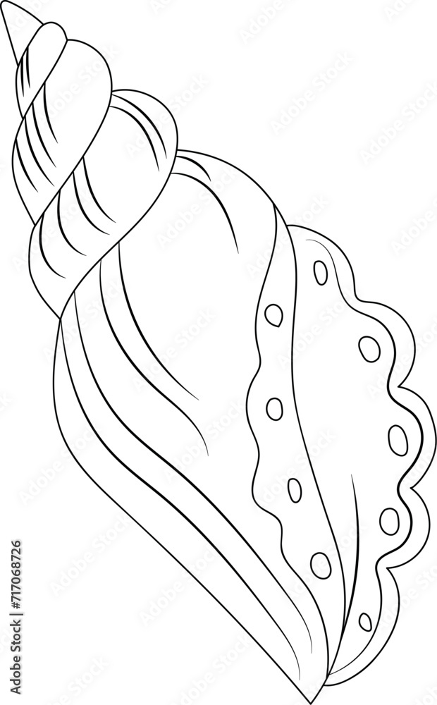 Seashells vector set. Hand drawn illustrations of engraved line ...