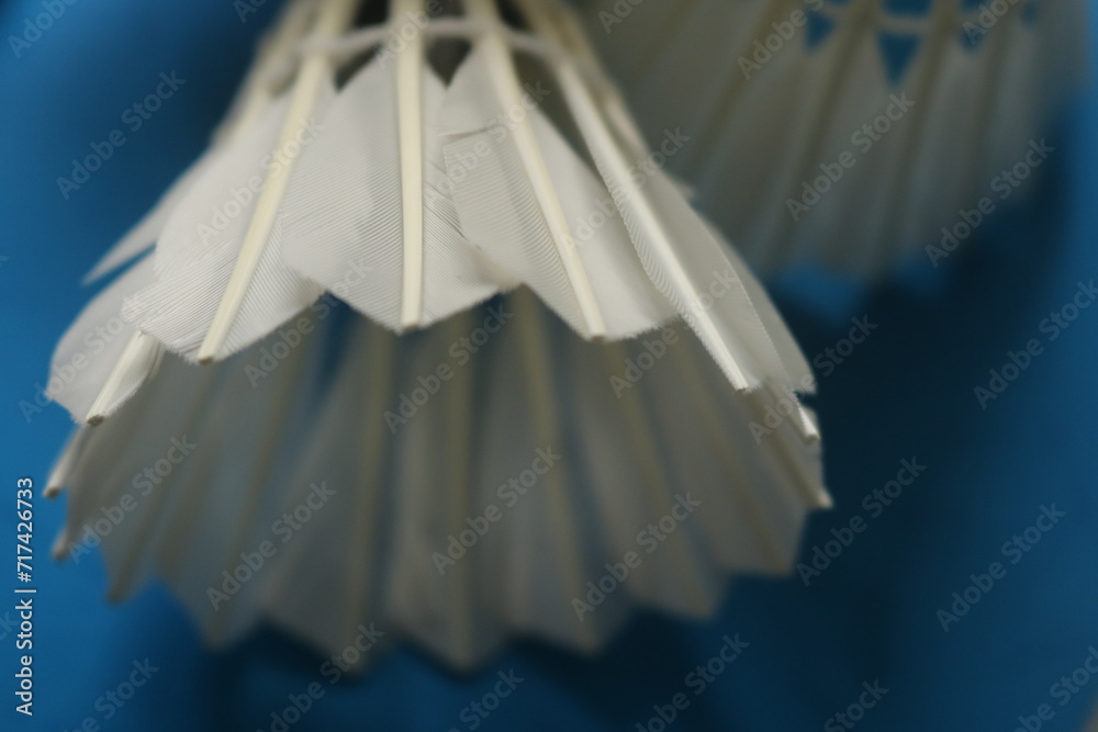 The badminton shuttlecocks used by badminton players are used indoors ...
