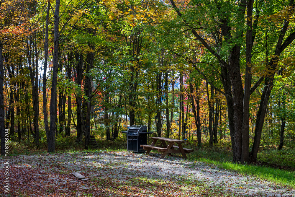 An empty campground spot in the fall colors Stock Photo | Adobe Stock